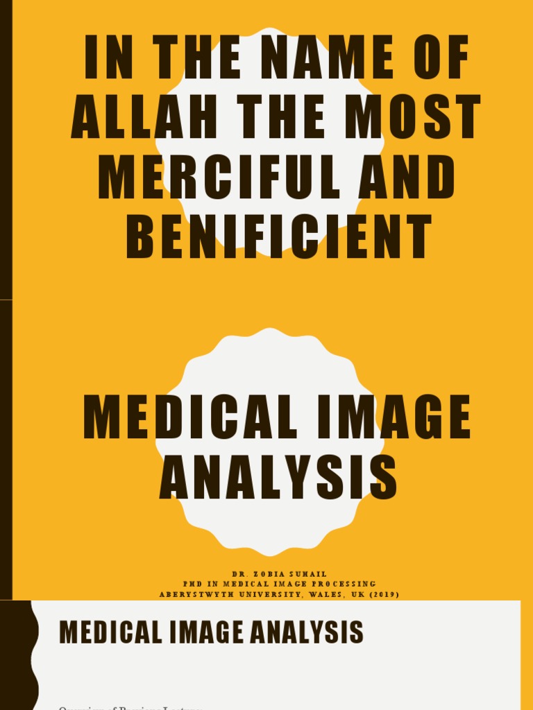 MIA ML Model Training Evaluation | PDF | Matrix (Mathematics) | Mathematics