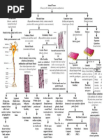 Fundamental Unit of Life Class 9 PPT 1 | PDF | Cell (Biology) | Osmosis