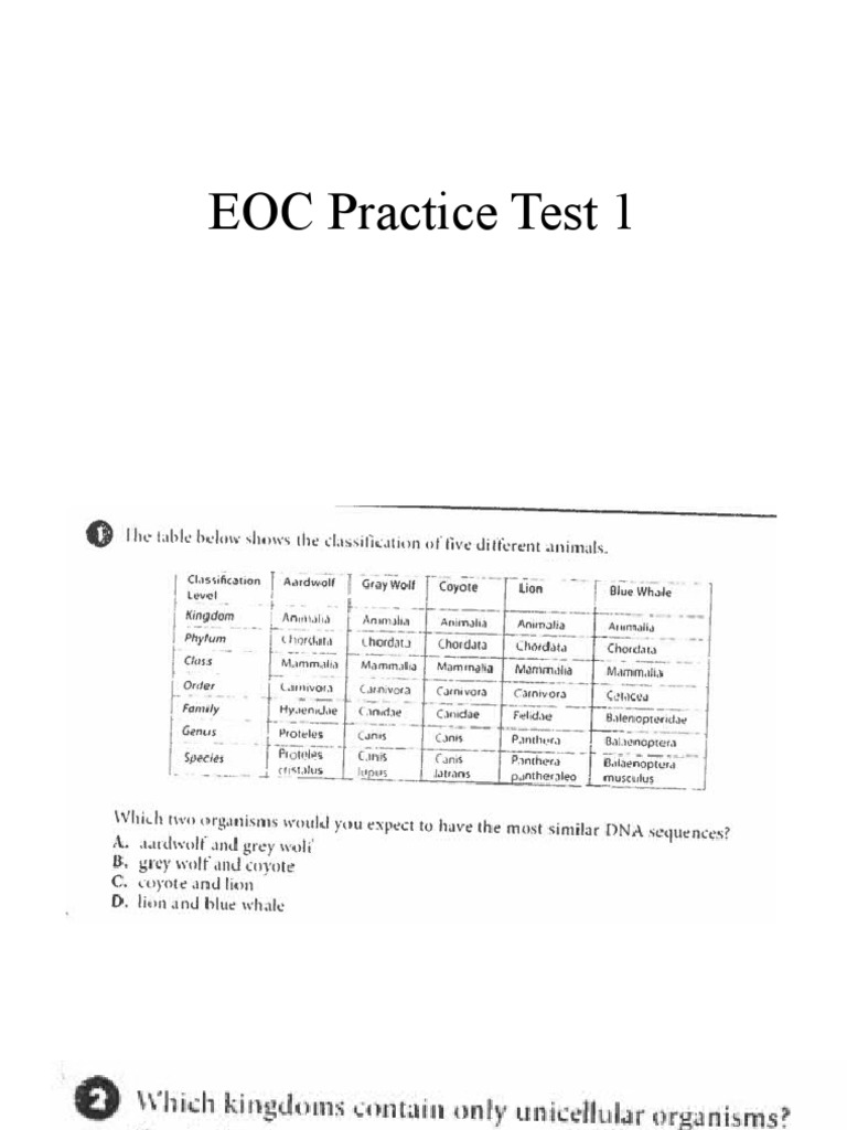 Practice EOC 1-1 | PDF