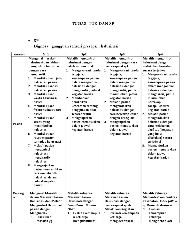 Tugas Tuk Dan SP: Up Pasien Halusinasi | PDF