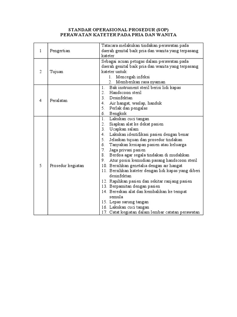 Standar Operasional Prosedur Perawatan Kateter | PDF