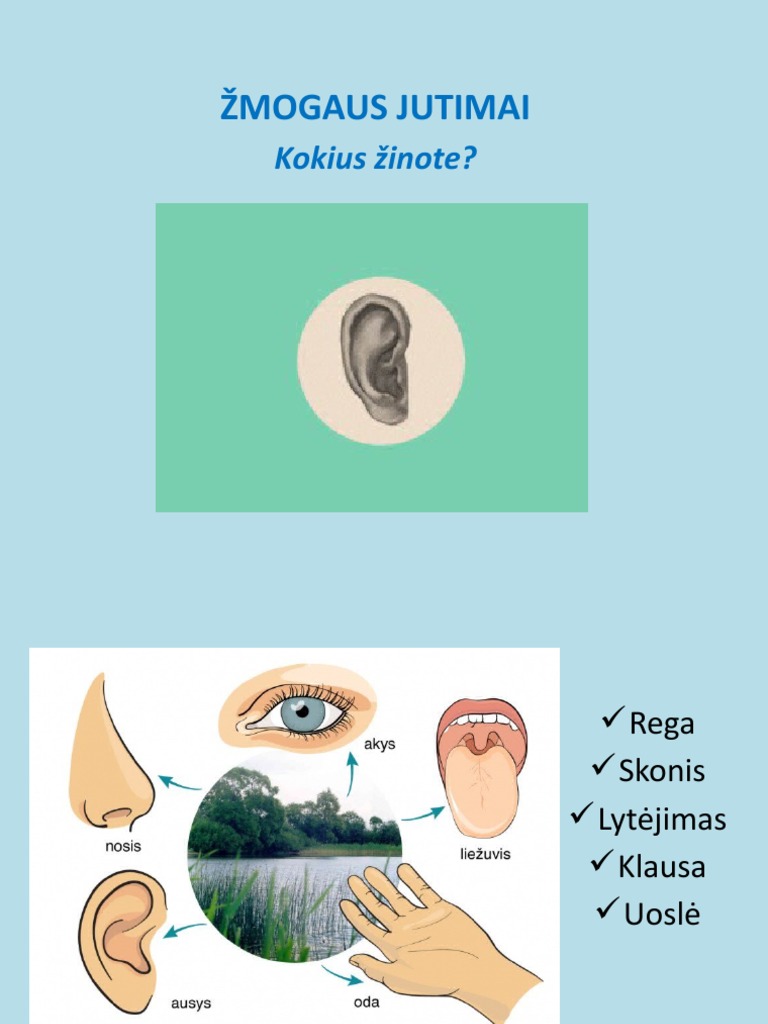 Sveikos Ir Laimingos Akys | PDF