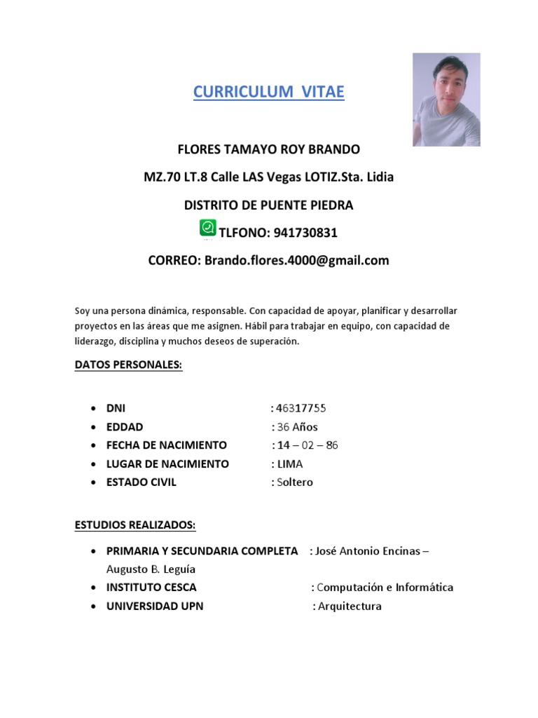 CV de Roy Flores Tamayo | PDF