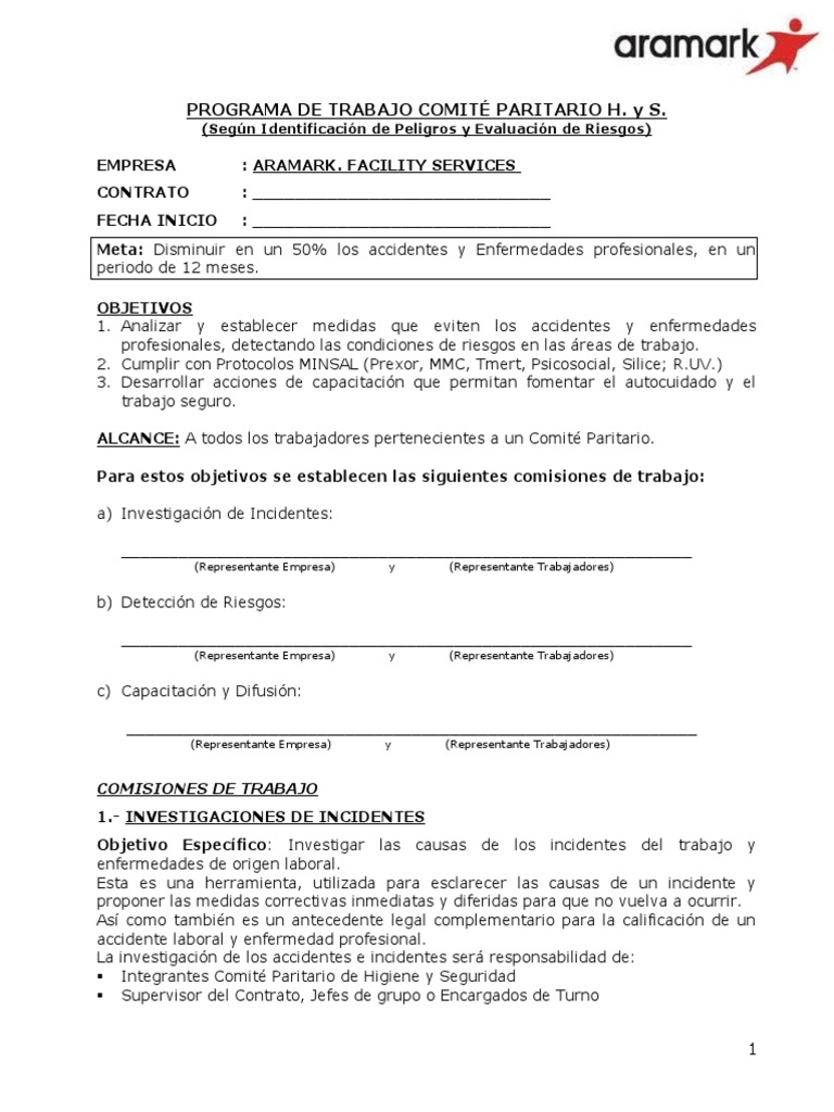 Programa de Trabajo Comité Paritario H&S | PDF | Higiene Ocupacional | Seguridad y salud ocupacional