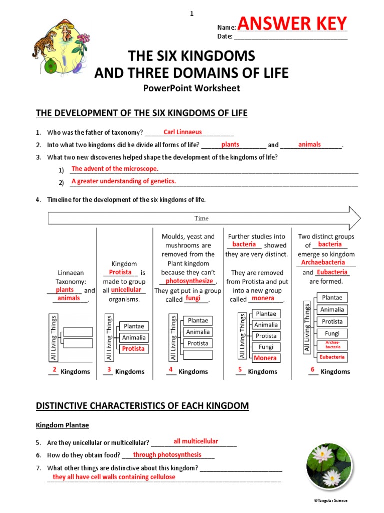 The Six Kingdoms Worksheet The 6 Kingdoms Of Life. Science Worksheets
