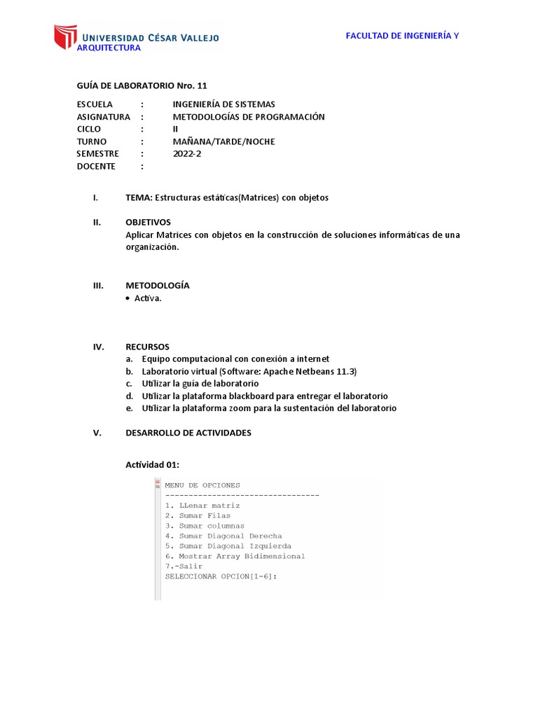 Matrices en Java: Guía de Laboratorio 11 | PDF | Java (lenguaje de ...