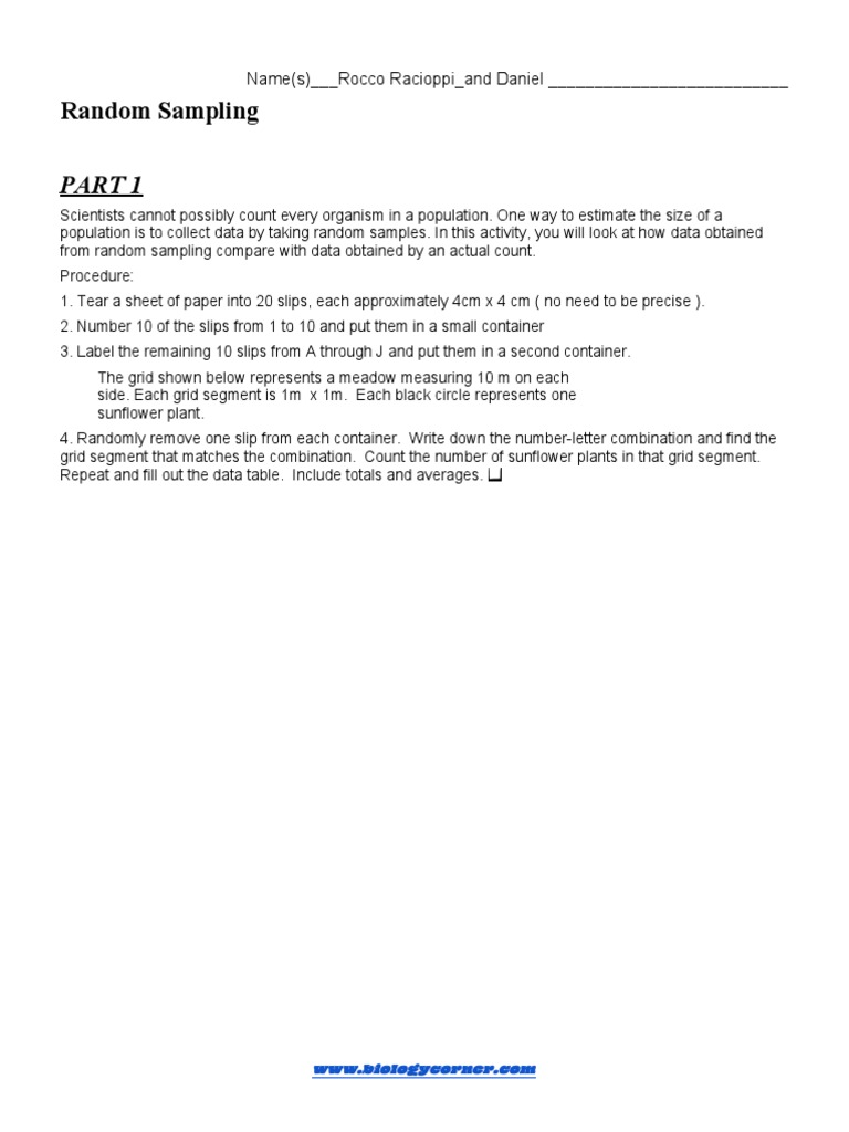 Random Sampling Sunflower Activity | PDF | Sampling (Statistics) | Statistics