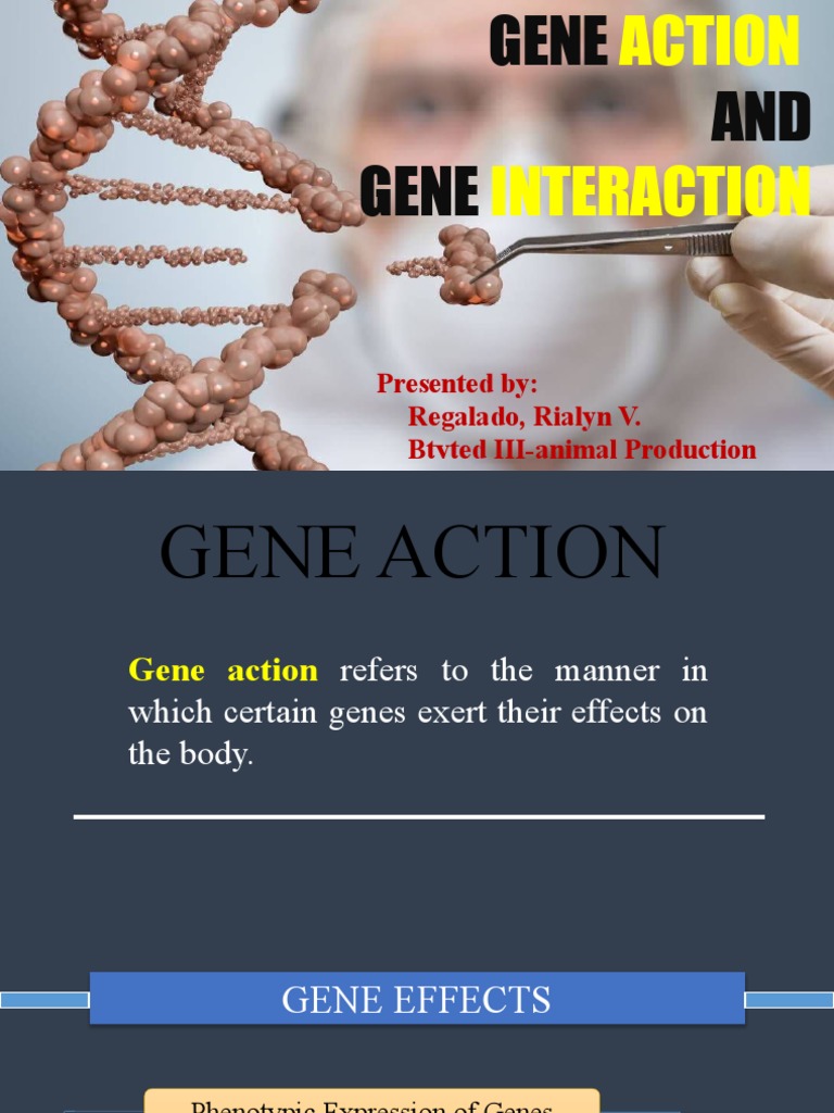 Gene Action and Gene Interaction | Download Free PDF | Dominance ...