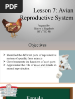 Animal Science Terms | PDF | Chicken | Cattle