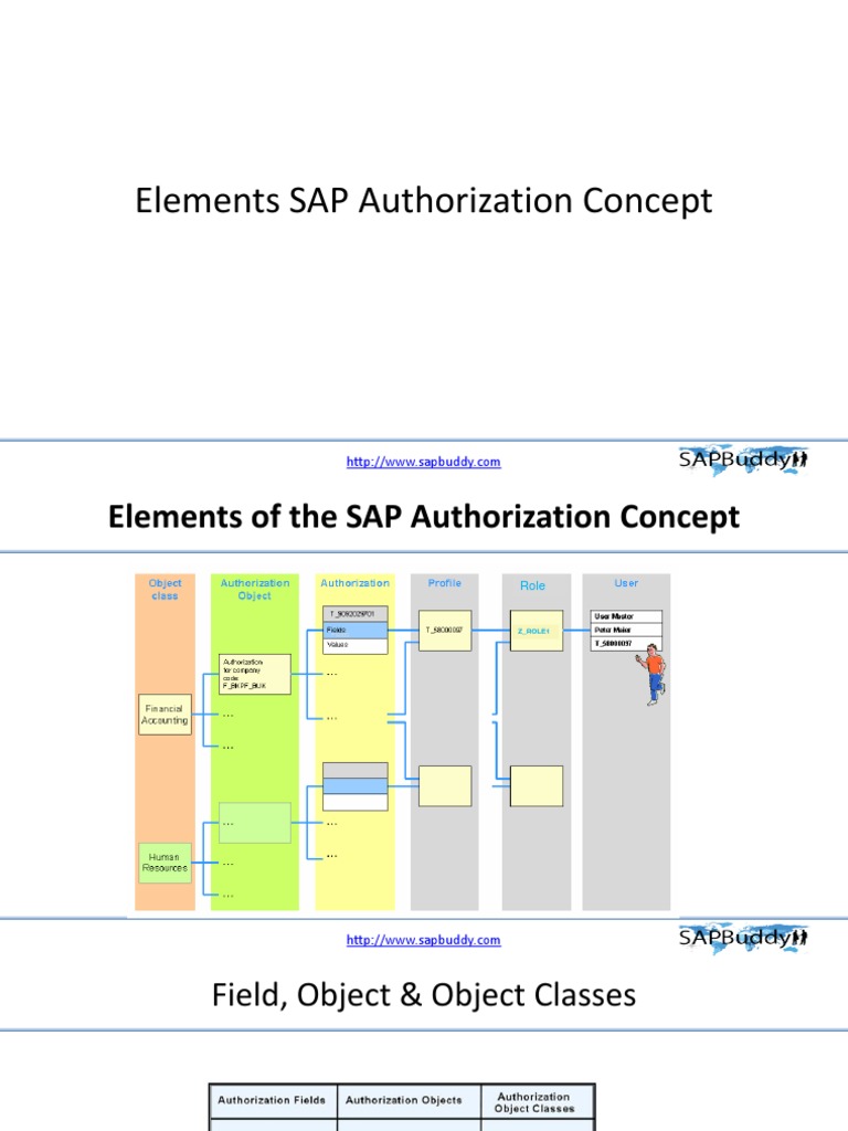 Elements SAP Authorization Concept | PDF