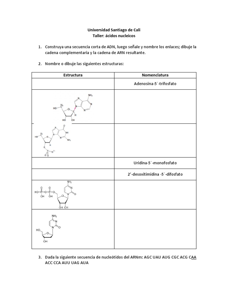 Taller ADN-ARN | PDF | Rna | Adn