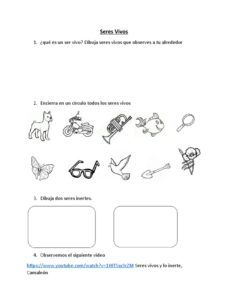 Seres Vivos y Lo Inerte | PDF