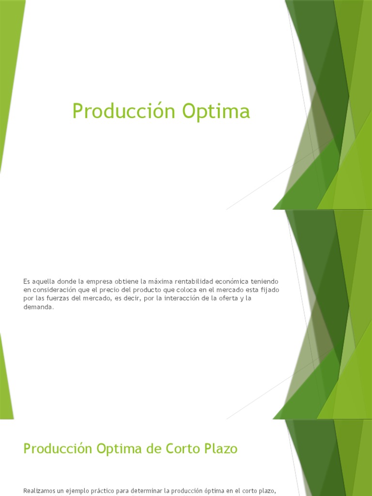 Producción Optima | PDF