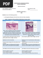 Friction Ridge Skin Morphogenesis and Overview | PDF | Epidermis | Hand