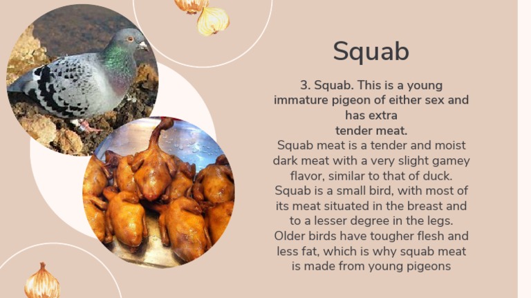 Tender Squab Meat From Young Pigeons | PDF