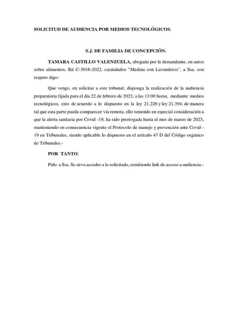 Solicitud de audiencia online | PDF