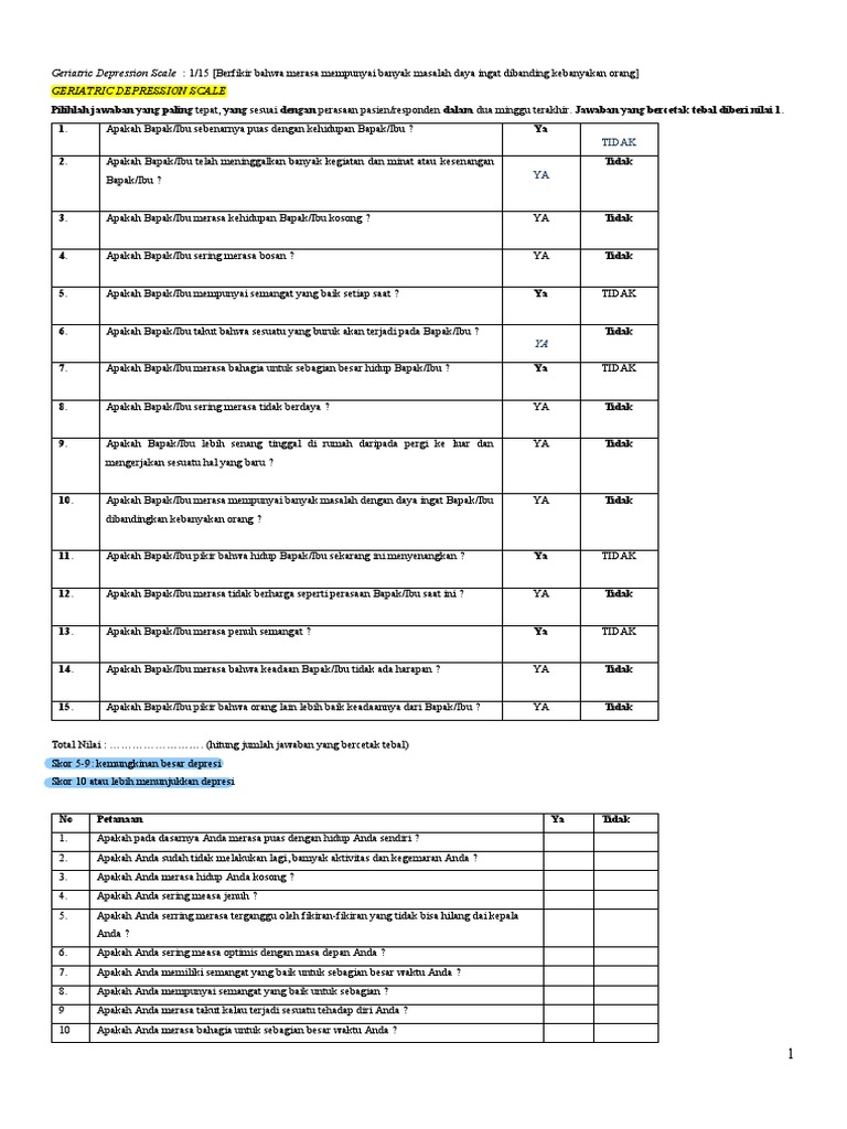 Skoring Geriatri | PDF