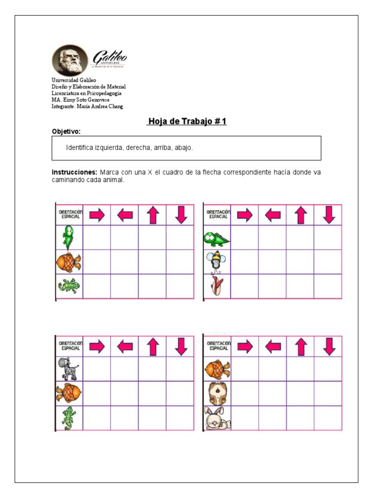 Hojas T. Matemática | PDF