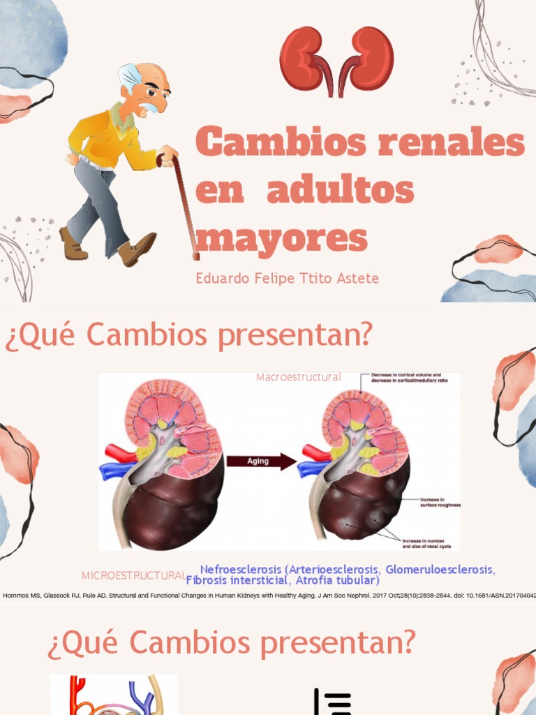 Cambios Renales en Adultos Mayores | PDF
