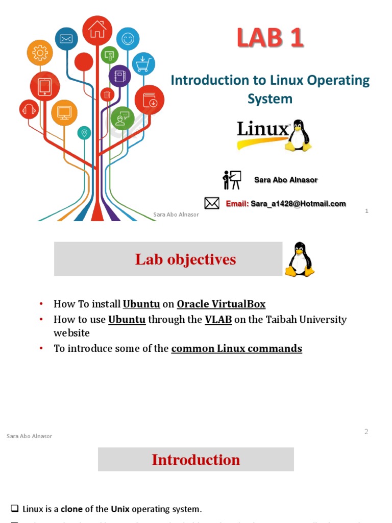 CS323 Lab1 | PDF | Operating System | Directory (Computing)