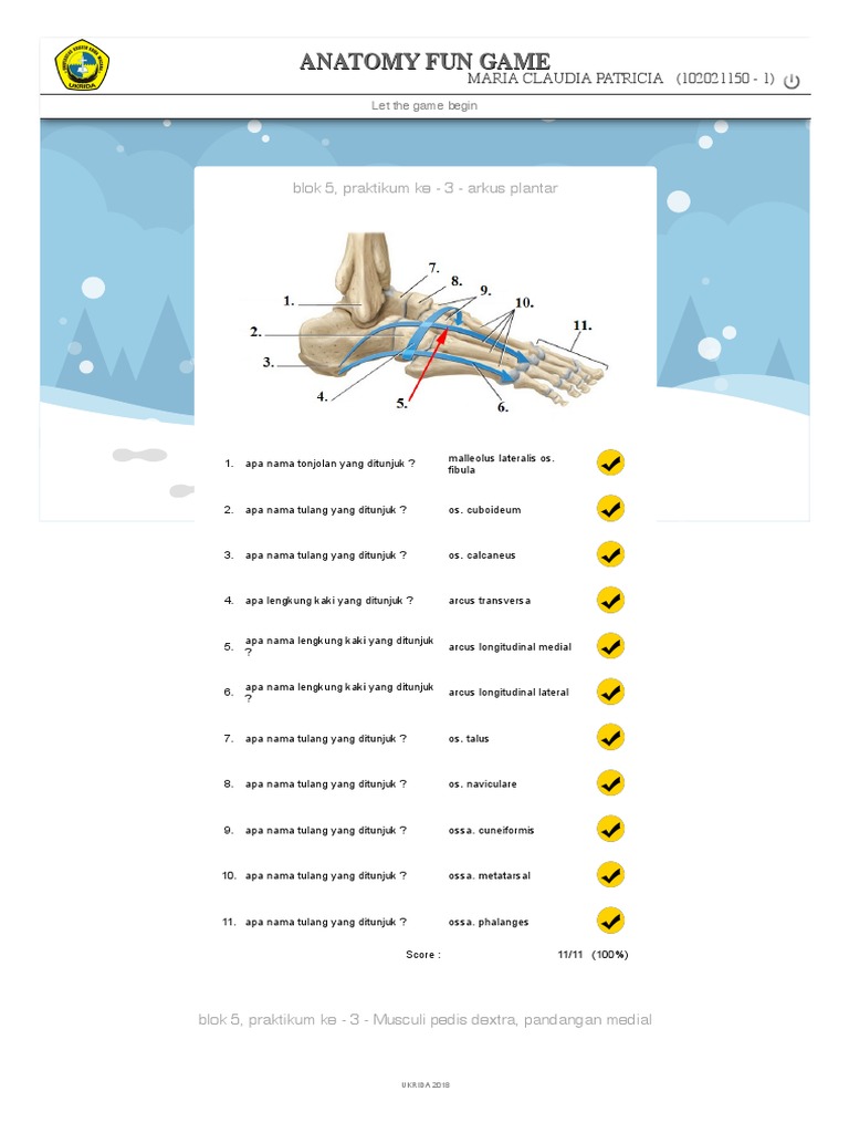 Anatomy Fun Game - 3 | PDF