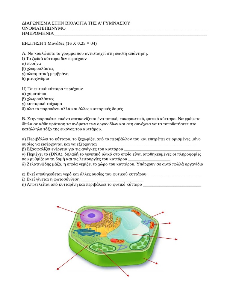 ΔΙΑΓΩΝΙΣΜΑ Α ΤΡΙΜΗΝΟΥ | PDF