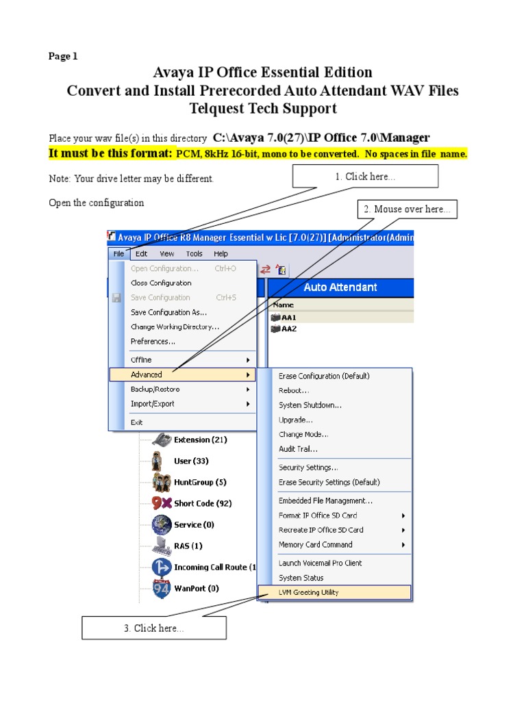 Avaya IPO Essential Converting AA Wav Files To CLP | PDF | Computer Data | Software Development