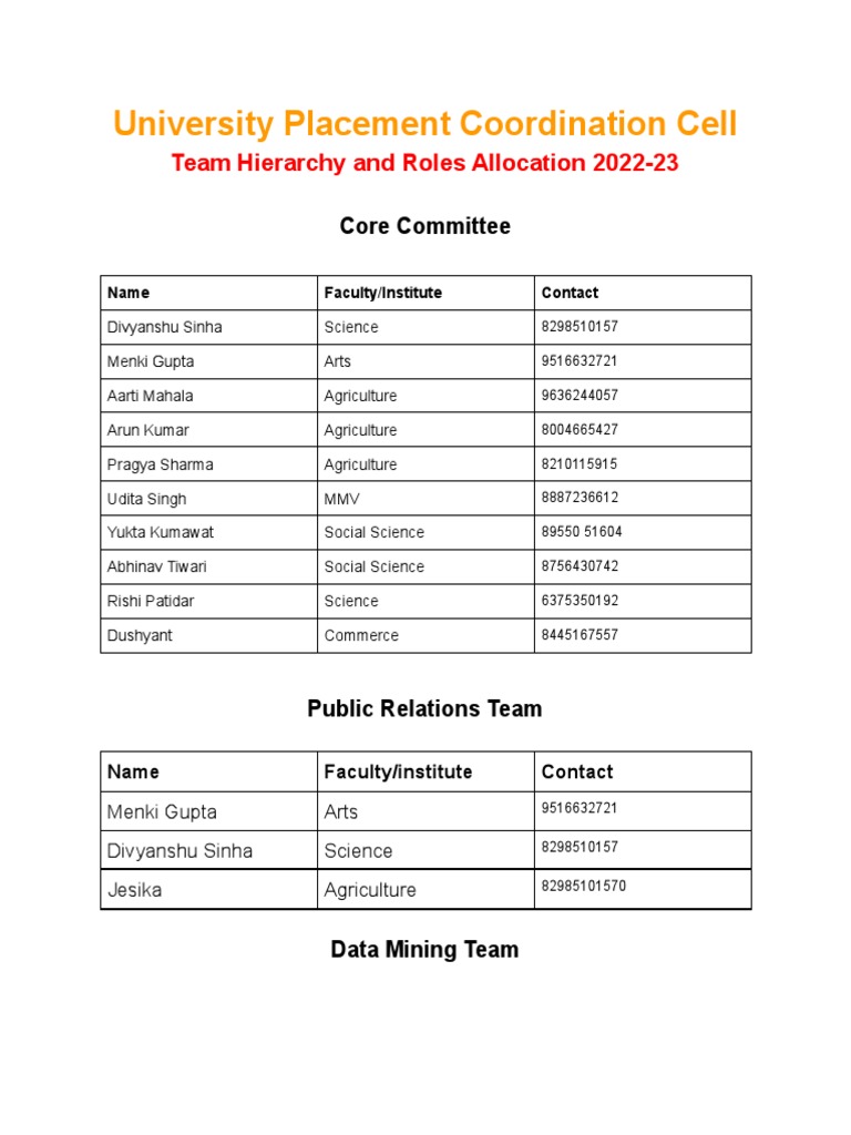 Team & Role Allocation | PDF