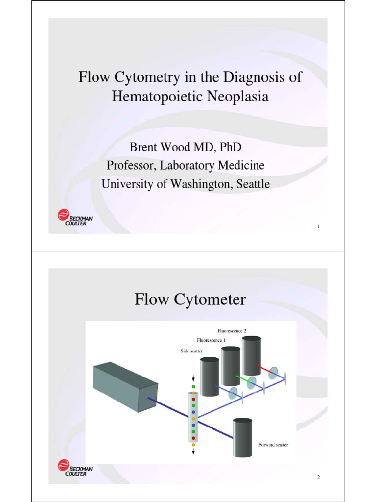 3 Wood Flow Hematopoietic | PDF | B Cell | Flow Cytometry