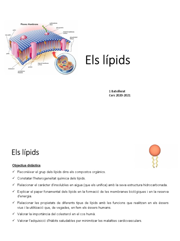 Lípids Saponificables Pdf