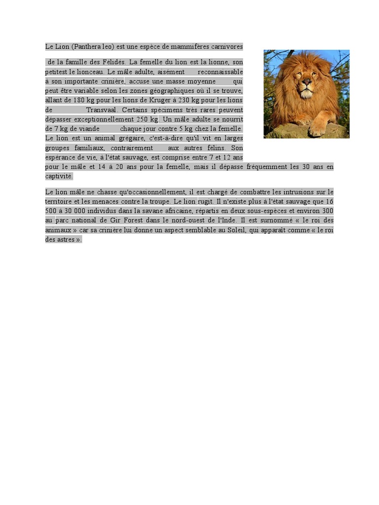 Description du lion en 5AP | PDF