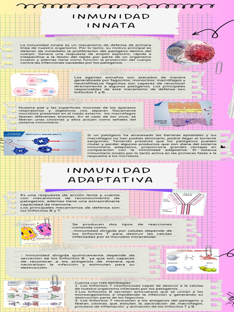 Inmunidad Innata y Adaptativa Explicada | PDF | Sistema inmune ...