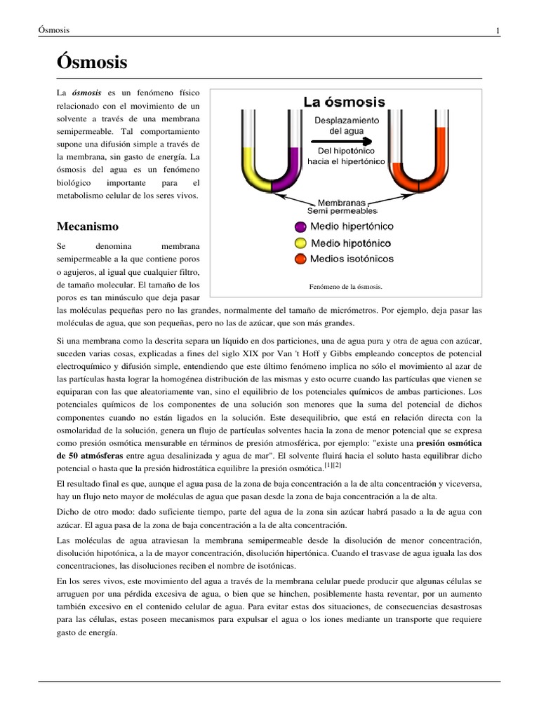 Ósmosis y Ósmosis Inversa: Fundamentos y Aplicaciones | PDF | Ósmosis ...