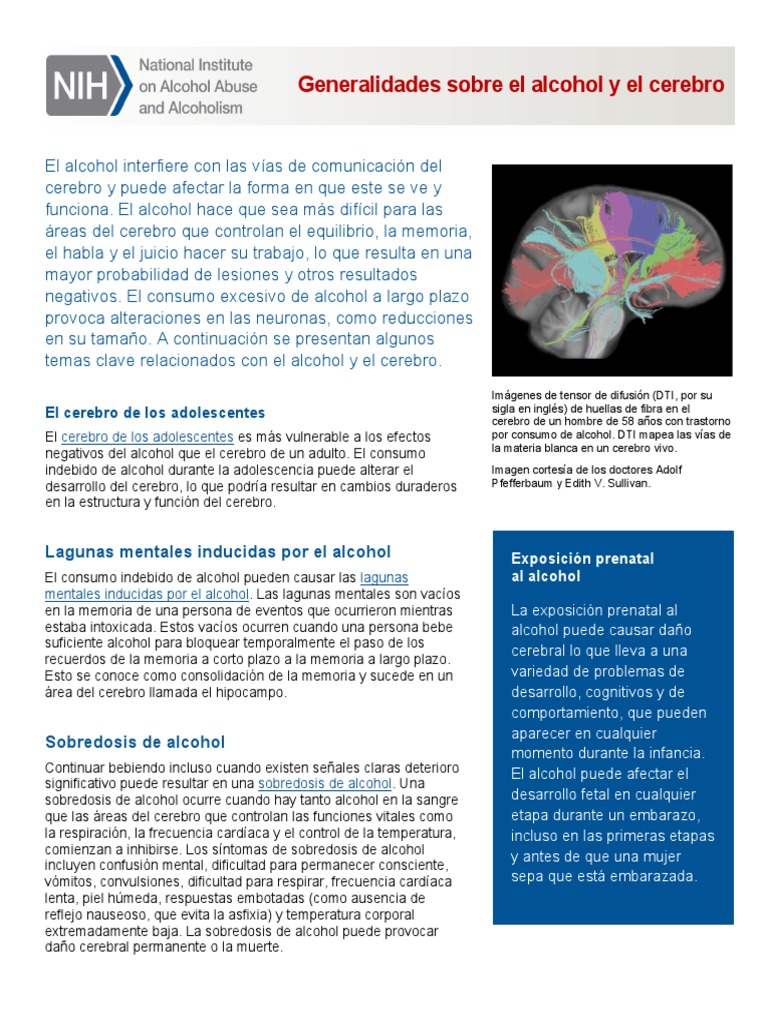 Los efectos del alcohol en el desarrollo y funcionamiento del cerebro ...
