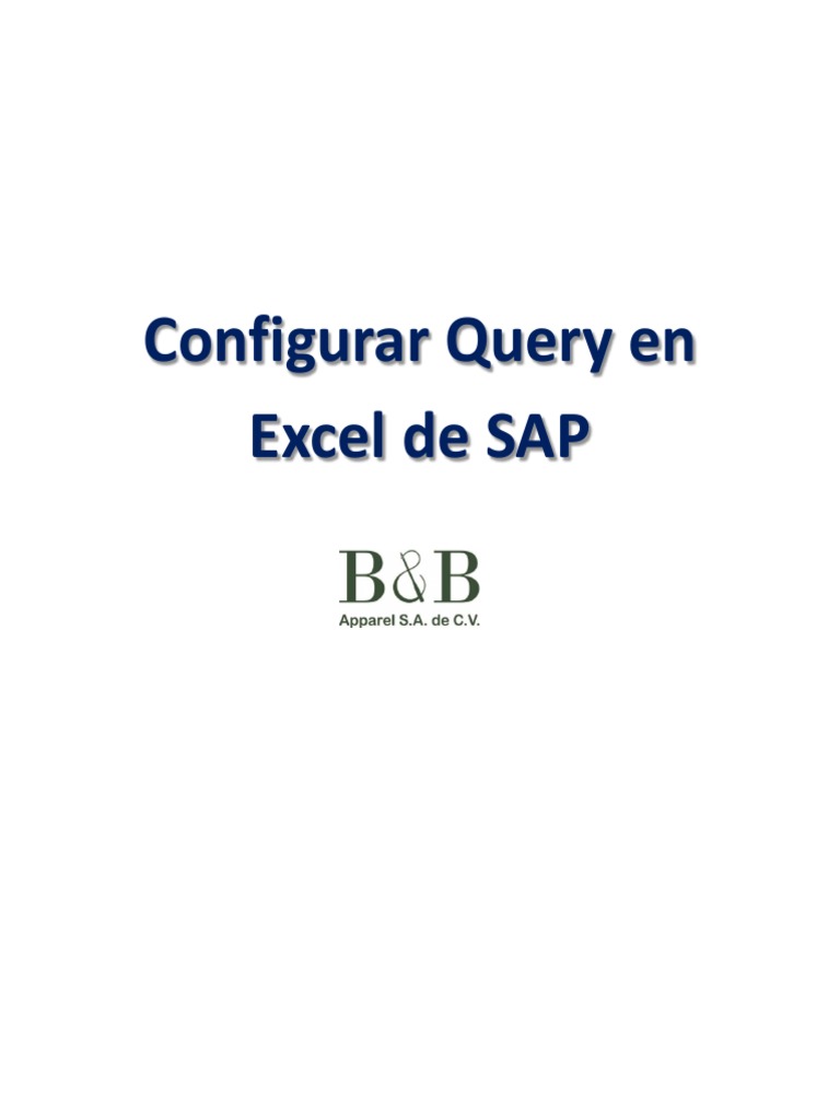 Configurar Query en Excel de SAP | PDF