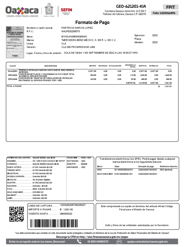 Partricia Garcia Lopez | PDF | Finanzas personales | Servicios financieros