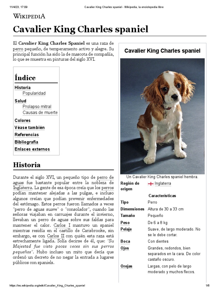 Articulo Cavalier King Charles Spaniel | PDF | Subespecie De Canis ...