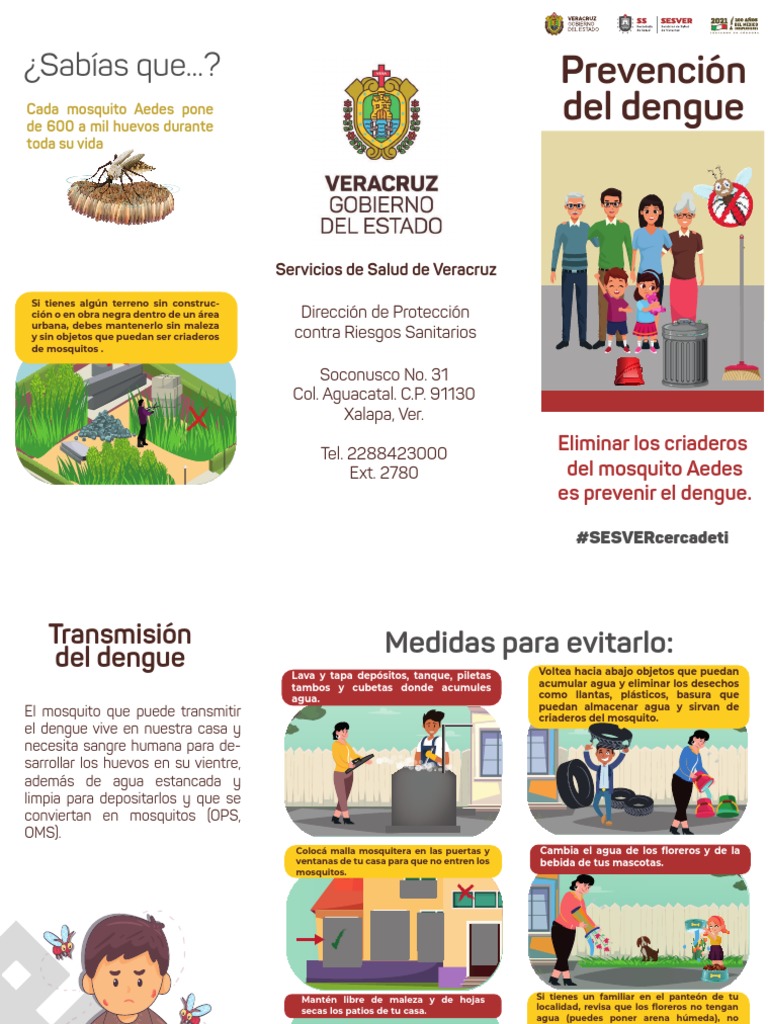 Triptico Prevenvion Dengue | PDF | Mosquito | Ciencias de la Salud
