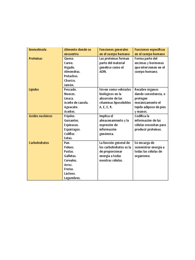 Anyely Dazemy Orozco Sanchez | PDF