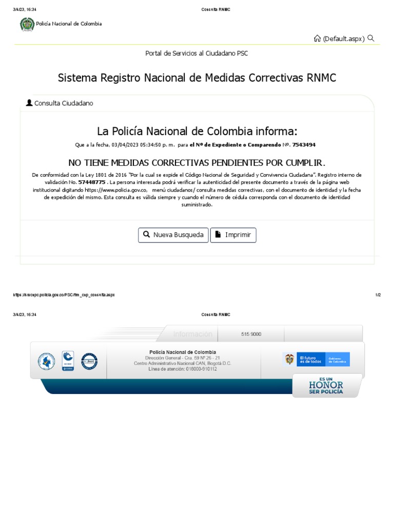 Consulta RNMC | PDF