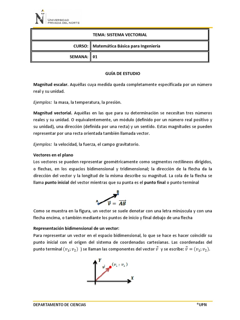 Hoja de Trabajo y Guia de Estudio - Sistema Vectorial | PDF | Vector Euclidiano | Sistema de ...