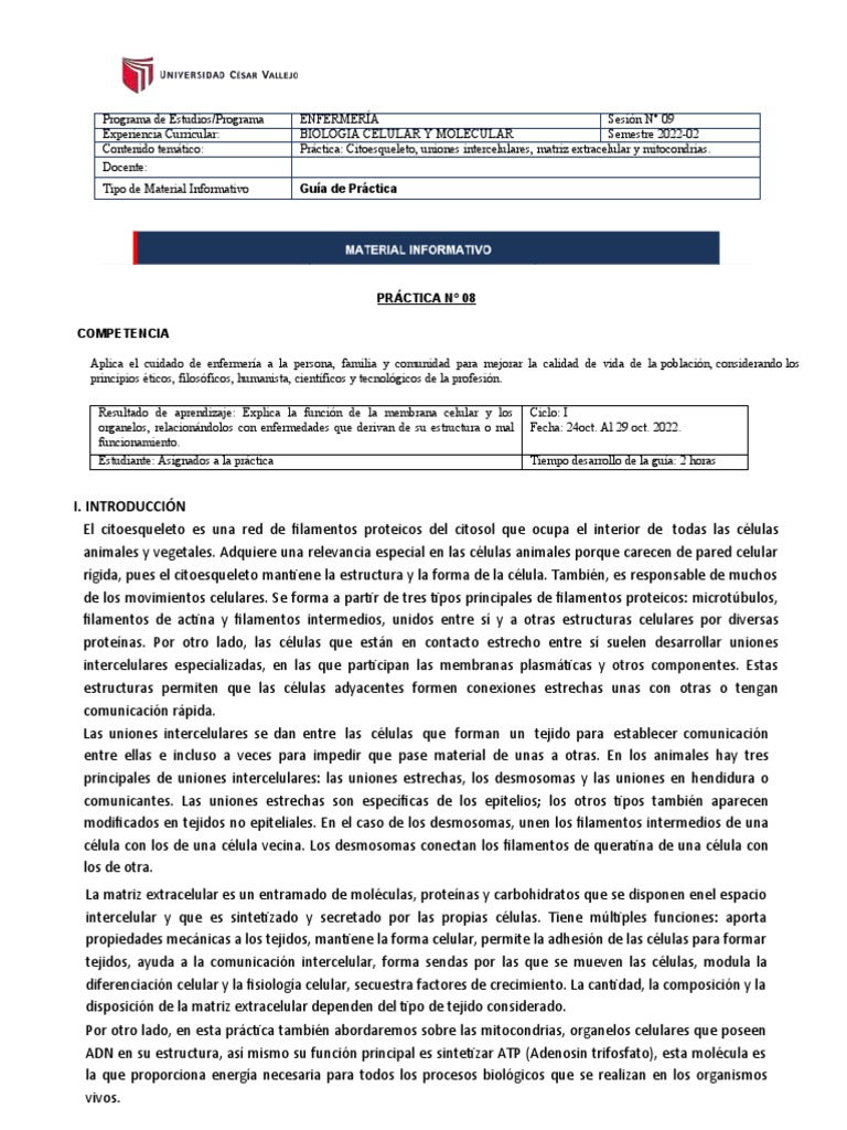 Práctica de Biología Celular en Enfermería | PDF | Biología Celular ...
