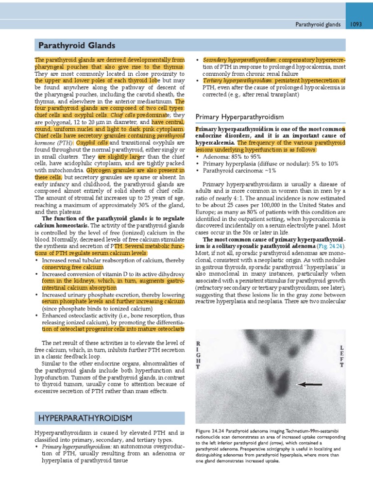 Parathyroid Disorders Overview | PDF | Parathyroid Gland | Adenoma