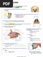 4 Fosas Nasales & Senos Paranasales | PDF | Nariz humana | Anatomía