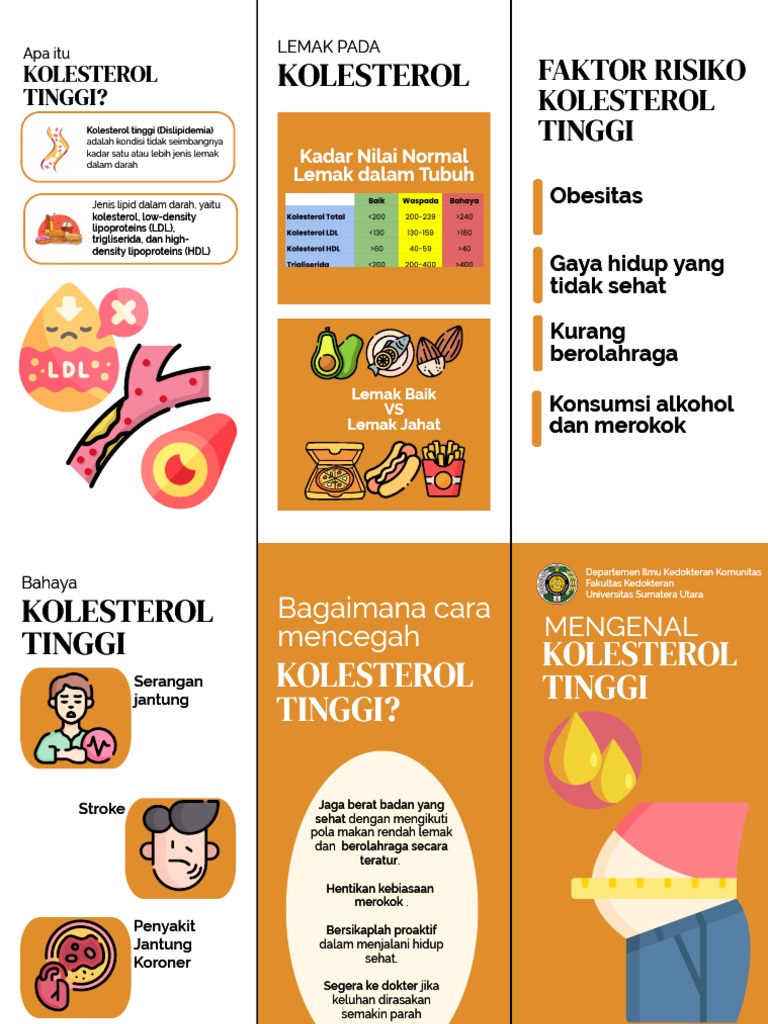 Leaflet Kolesterol - Anastasia Grace | PDF