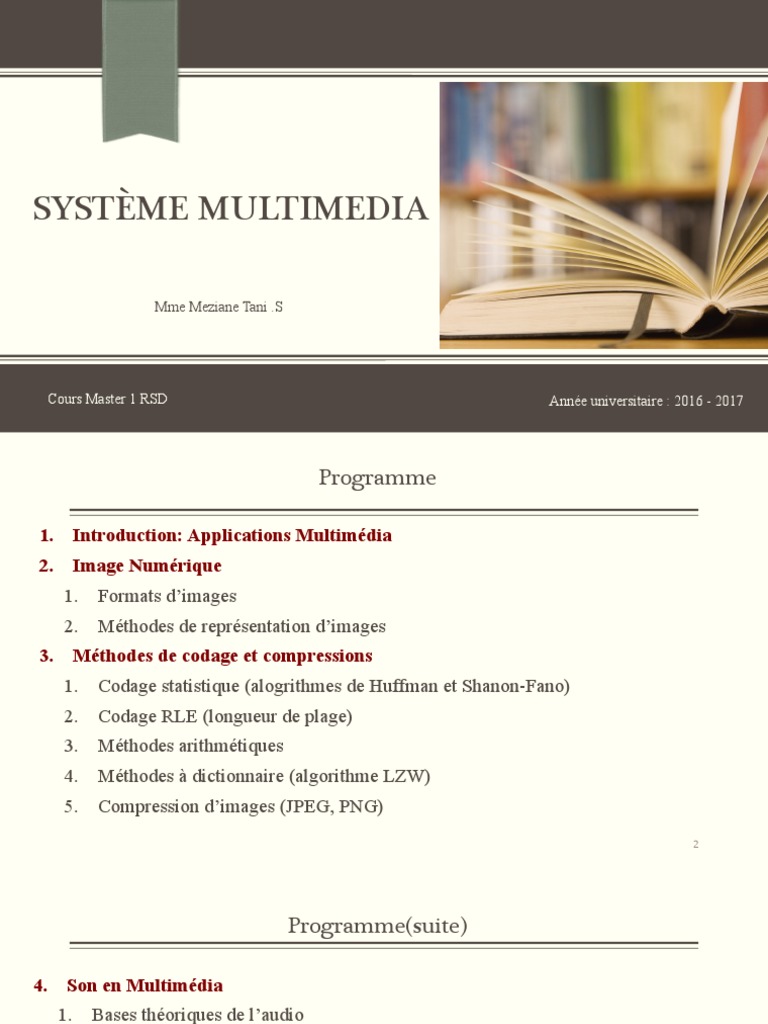 Cours 1 Introdction Aux Systemes Multi Media | PDF | Multimédia | Compression de données