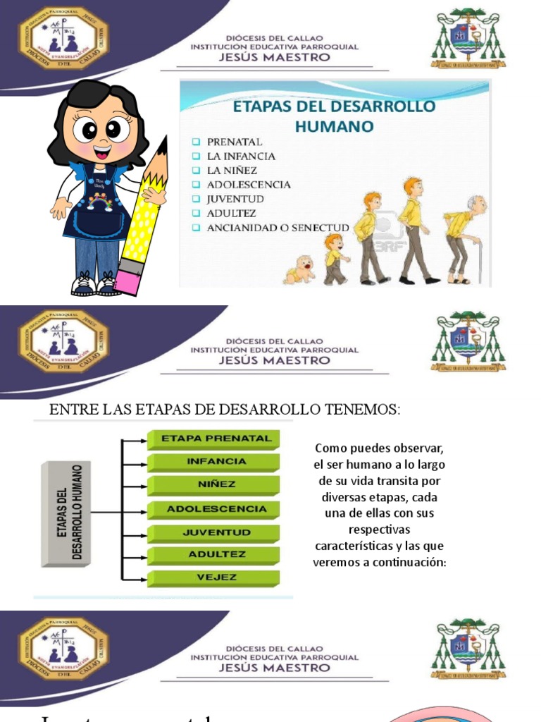 Etapas Del Desarrollo Humano | PDF