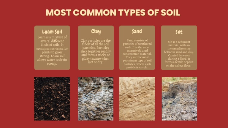 Most Common Types of Soil | PDF