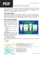Nomenclatura Dentaria - El Código Internacional (FDI) | PDF | Diente ...