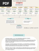 Mapa Conceptual Factores de Riesgo | PDF | Riesgo | Factor de riesgo